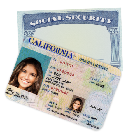 Enrollment Process | Public Authority Services